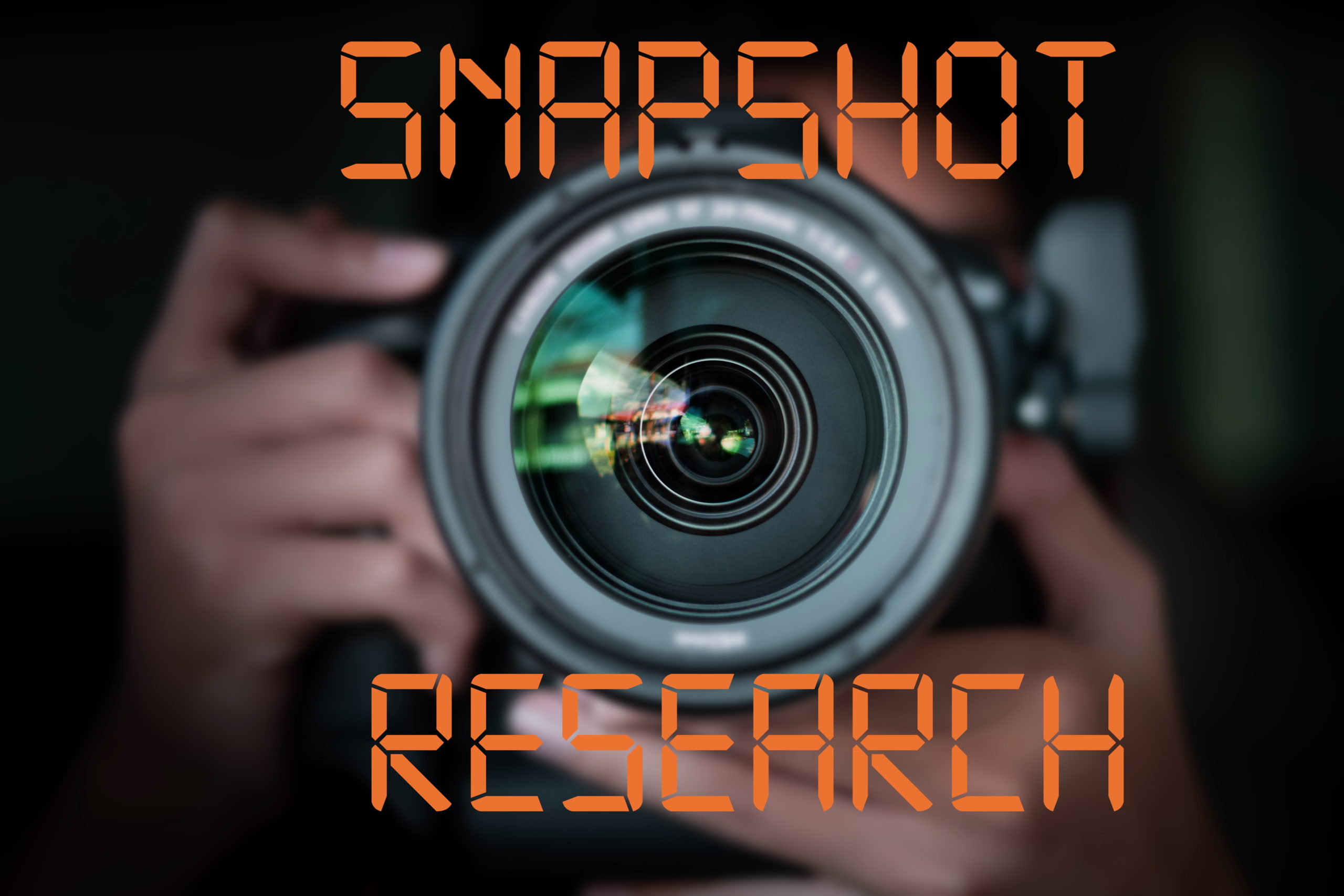 Snapshot Research ResultsInside the DataDigital Transformation Levels ...